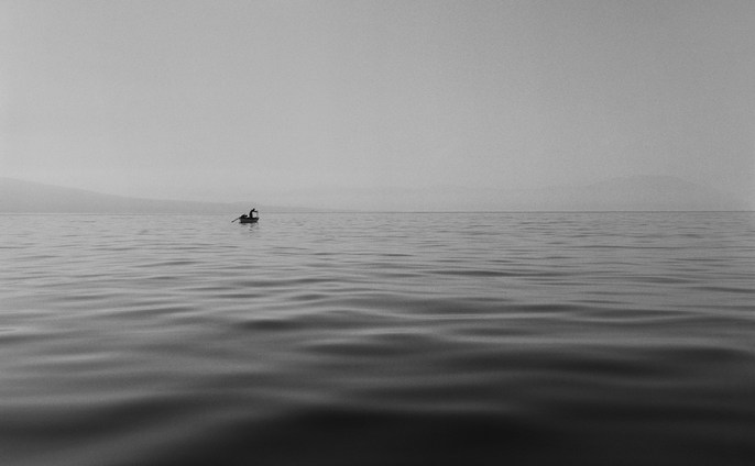 Total Management - Photography and Film - BRETT LLOYD